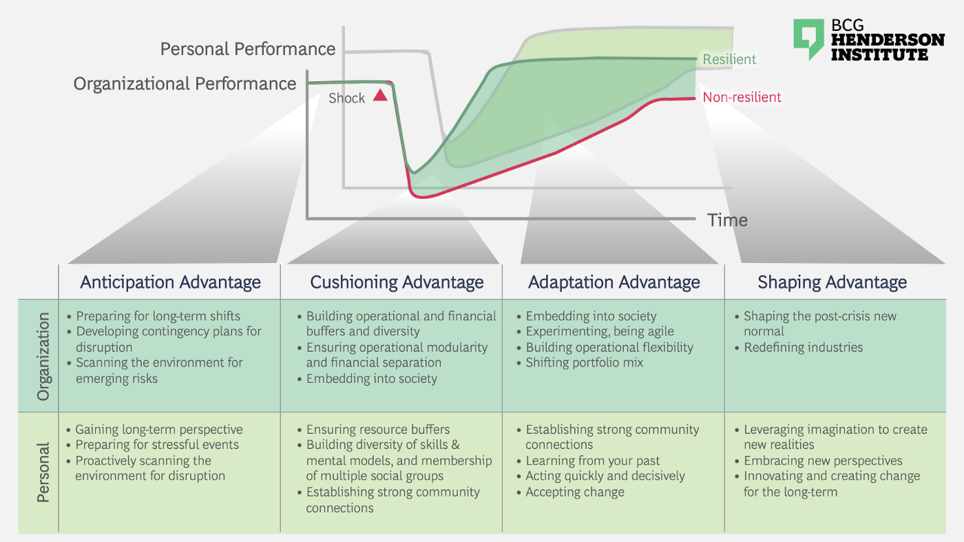 Building a Mutually Reinforcing System of Organizational and Personal ...