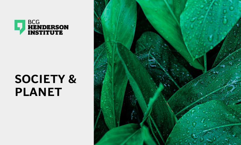 Society & Planet Archives - BCG Henderson Institute