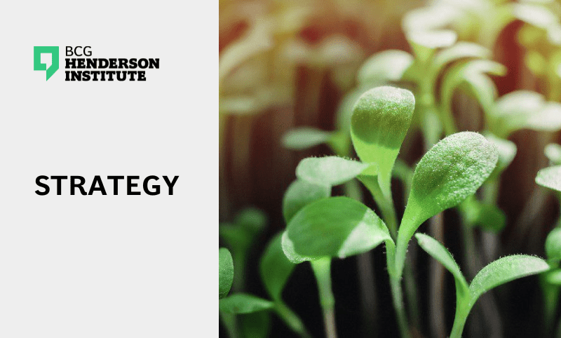 Strategy Archives - BCG Henderson Institute
